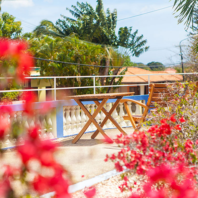 1-day-retreat – Oasis Haven Curaçao